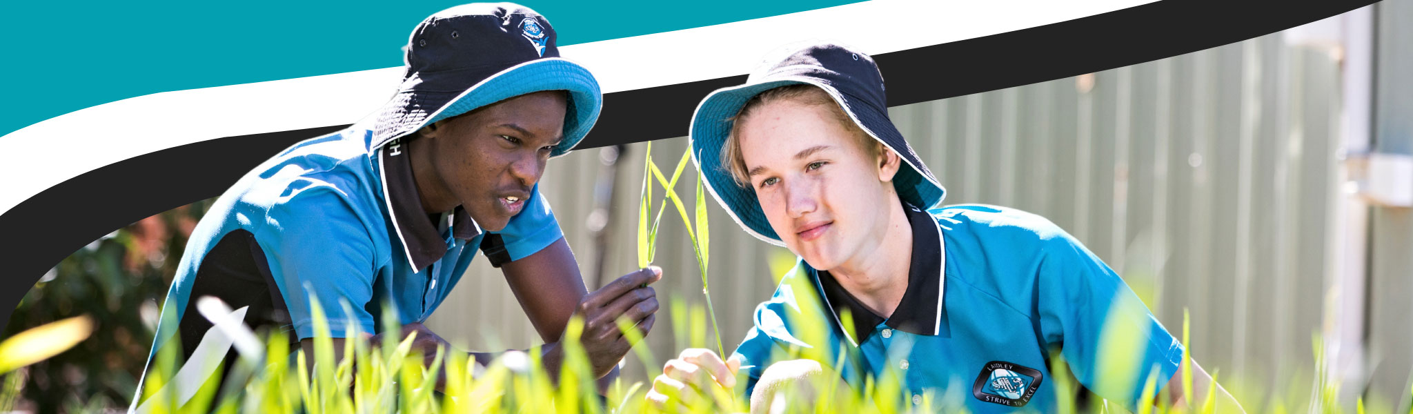 Laidley State High School